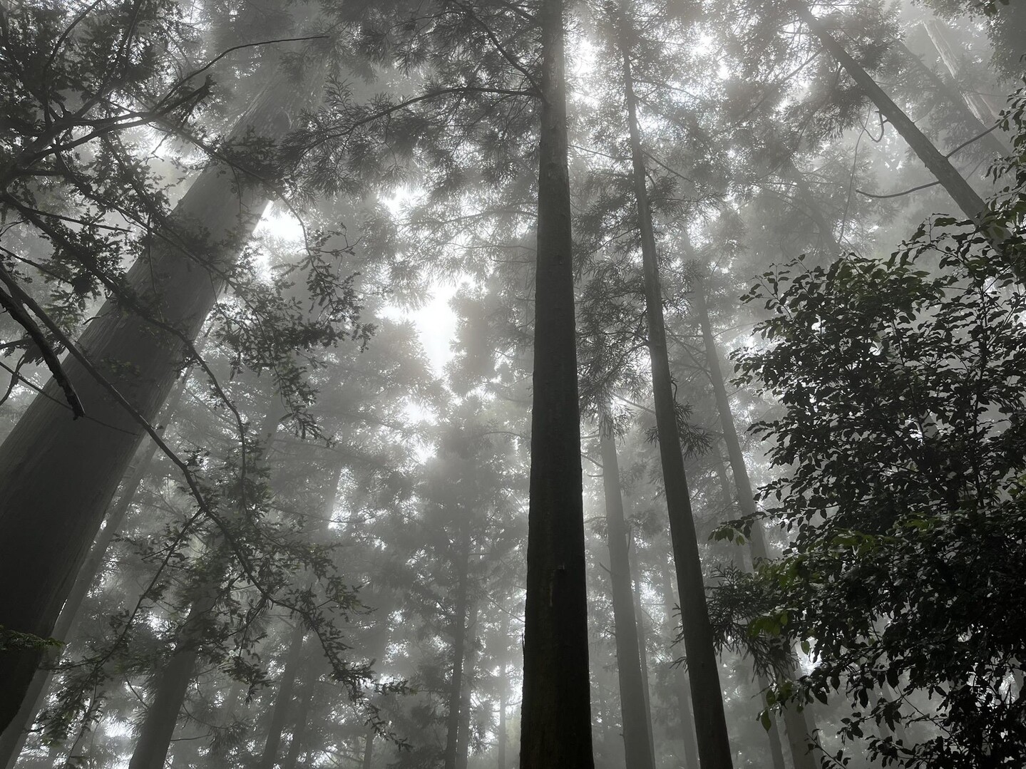 本宮山トレ、始めました🐻 / Kumagoro さんの本宮山・大日山・風頭山の活動データ | YAMAP / ヤマップ