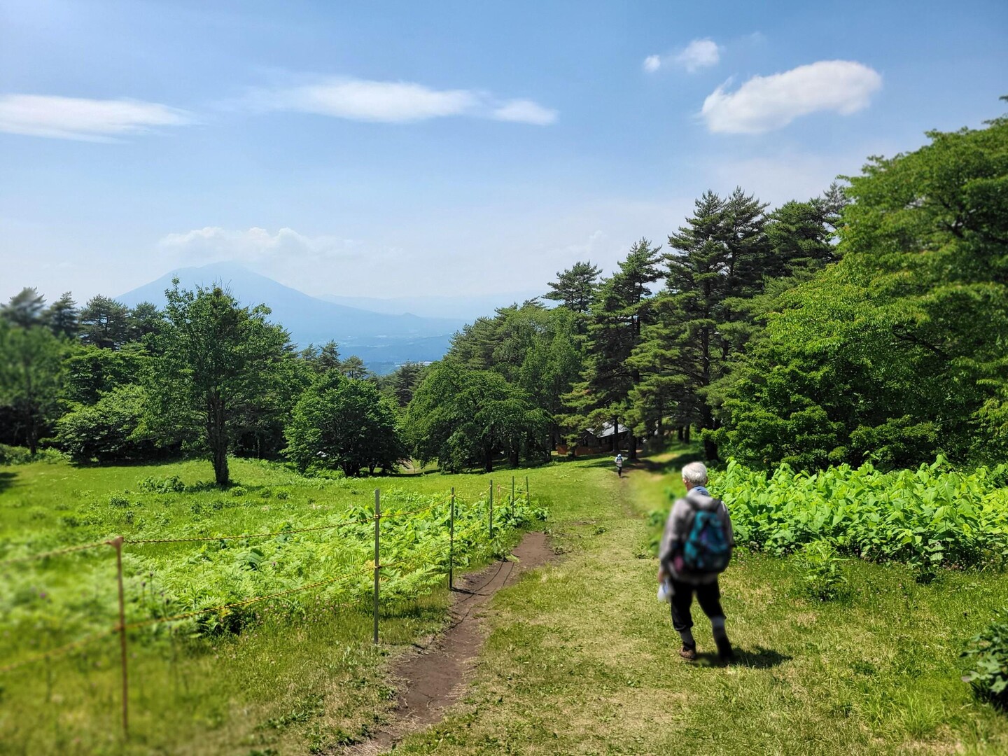 姫神山 / taku-jiroさんの姫神山の活動データ | YAMAP / ヤマップ