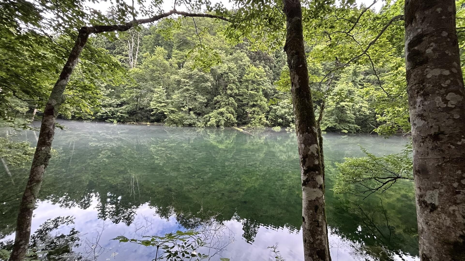 名水百選の竜ヶ窪。 幻想的な光景でした ... / ku-さんのモーメント | YAMAP / ヤマップ