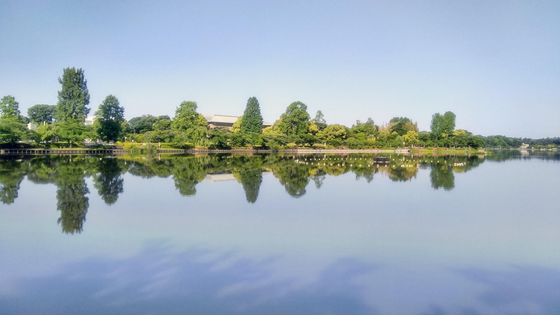 リハビリおじ散歩😁水戸市-2022-05-29 / yama3104さんの水戸市の活動データ | YAMAP / ヤマップ