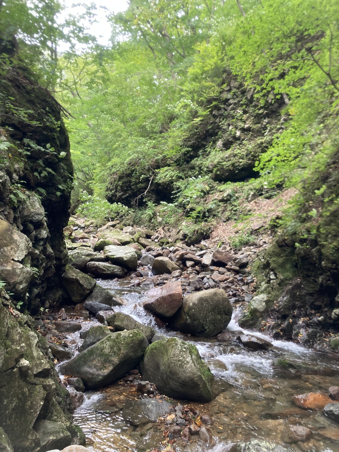 沢登り 湯川（安達太良山） / tkcさんの安達太良山・箕輪山・鬼面山の活動データ | YAMAP / ヤマップ
