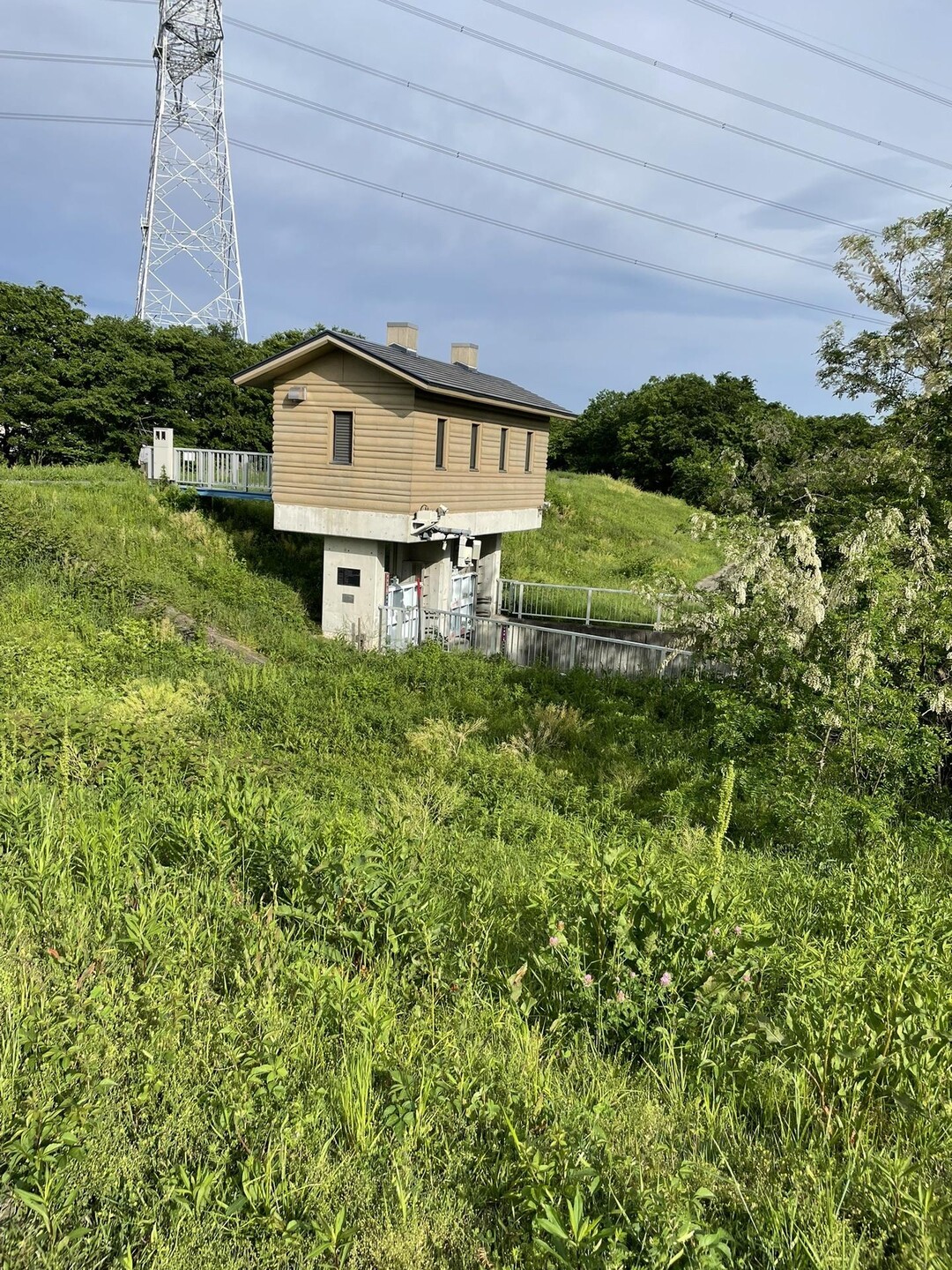 浅羽ビオトープ朝散歩-2024-05-06 / s06007さんのウォーキングの活動データ | YAMAP / ヤマップ