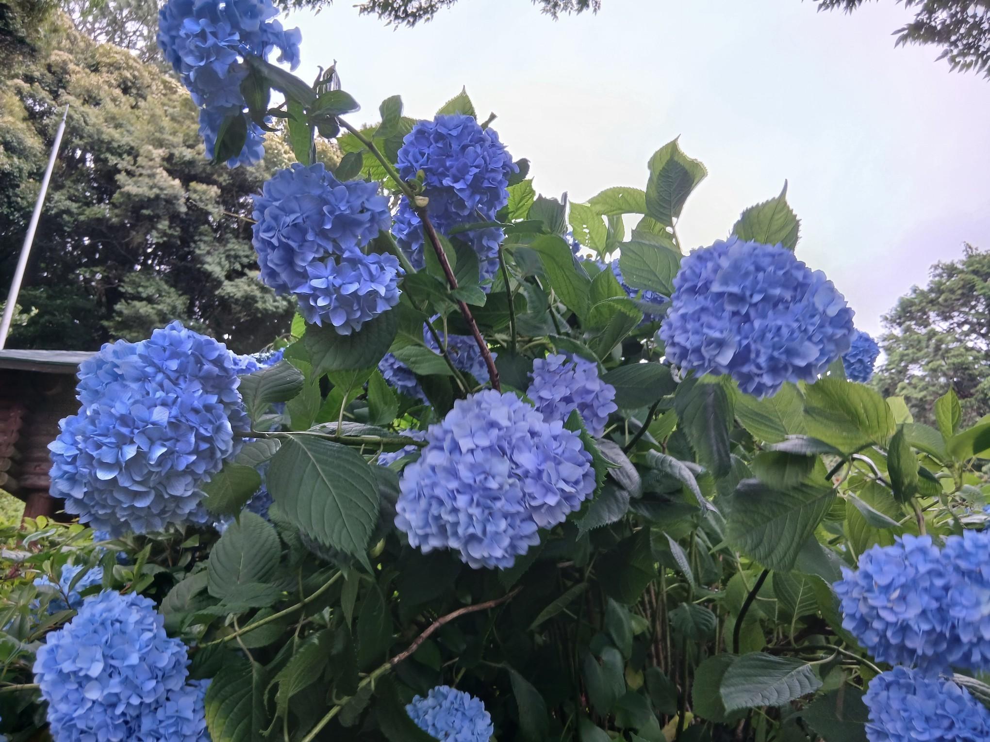 高良山・月見山 / U7さんの高良山・発心山・鷹取山の活動データ | YAMAP / ヤマップ