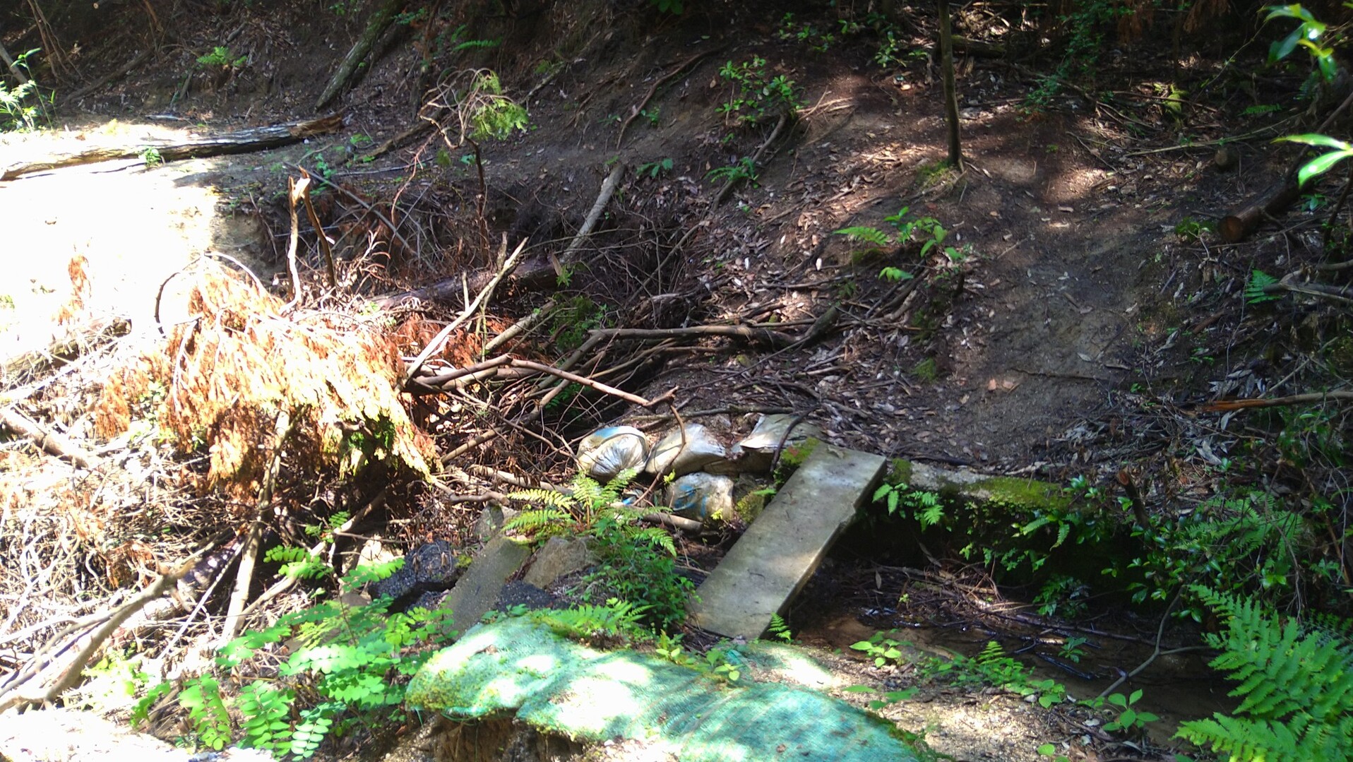 minyayonさんの投稿したフィールドメモ | YAMAP / ヤマップ