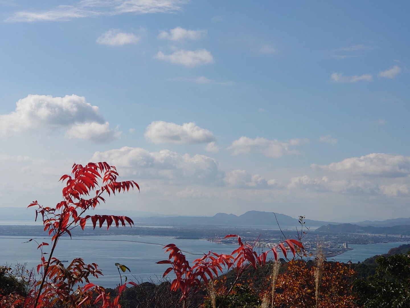 馬着山・腕山 / Sarahさんの松江市の活動データ | YAMAP / ヤマップ