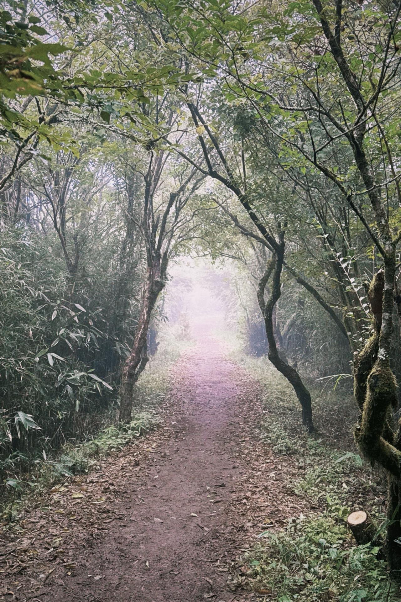 金時山 / Yoshida Kosukeさんの金時山・明神ヶ岳の活動データ | YAMAP / ヤマップ
