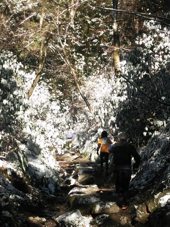高尾山_2024-01-14 / Hitomi.sさんの高尾山・陣馬山・景信山の活動データ | YAMAP / ヤマップ