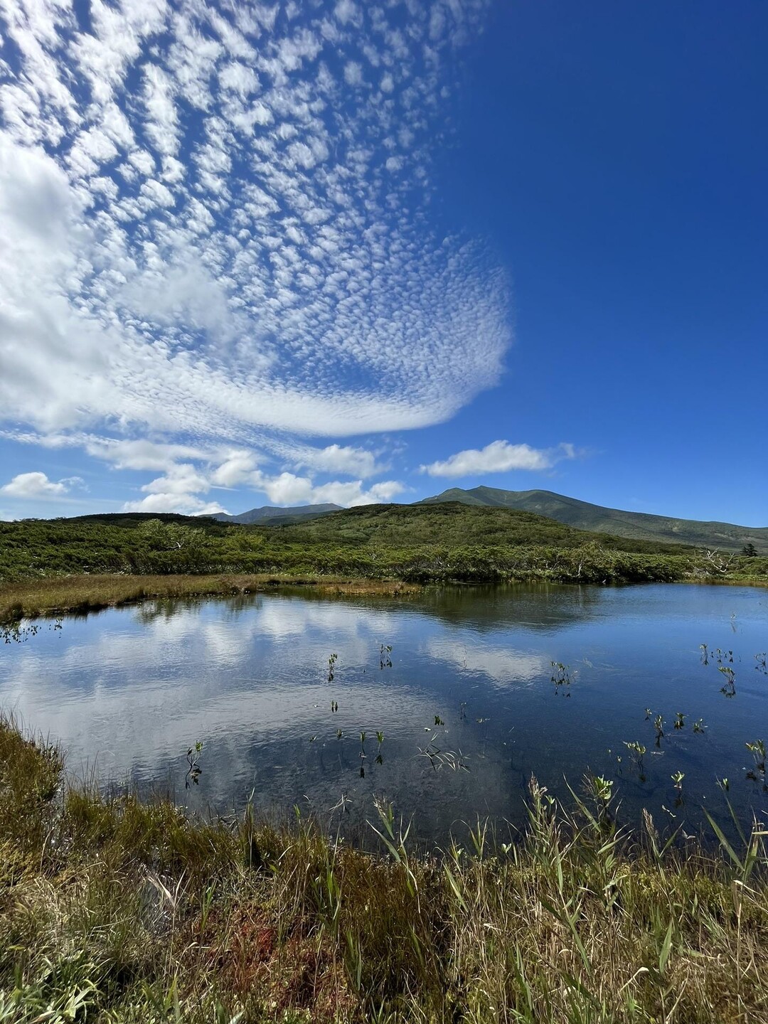 羅臼湖トレッキング 〜北海道の旅〜 / ORIEさんの羅臼岳・硫黄山（知床）・羅臼湖の活動データ | YAMAP / ヤマップ