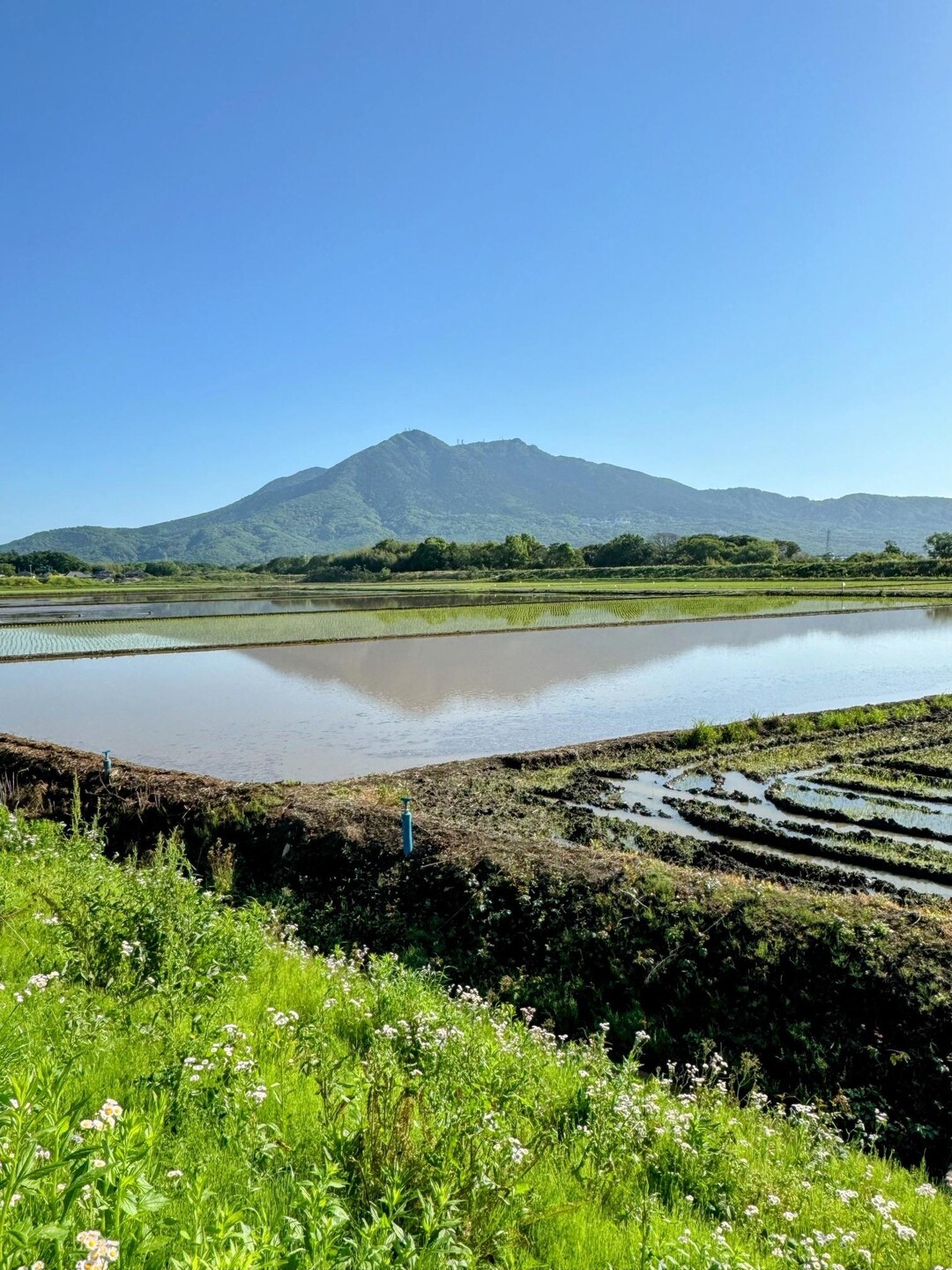 筑波山training / kumiさんの筑波山の活動データ | YAMAP / ヤマップ