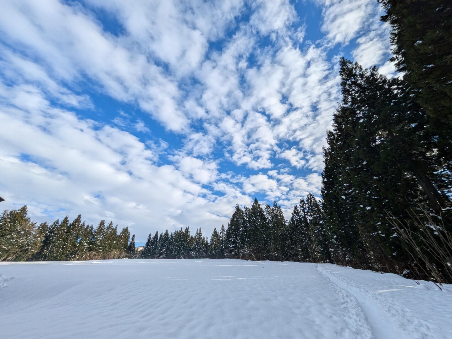 登り納めの御岳山♡ / ayaさんの御岳山・駒見山の活動日記 | YAMAP / ヤマップ