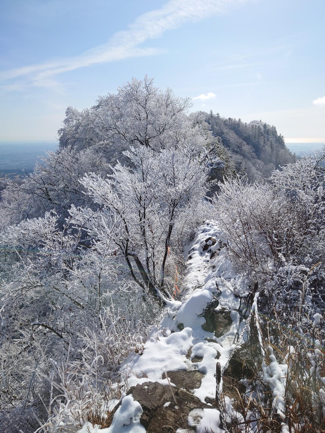 相州アルプス・仏果山 / DRさんの大山の活動データ | YAMAP / ヤマップ