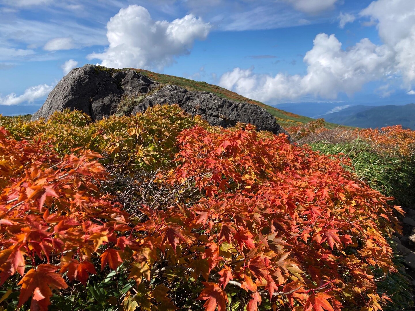 月山 / makko@crcさんの月山の活動データ | YAMAP / ヤマップ
