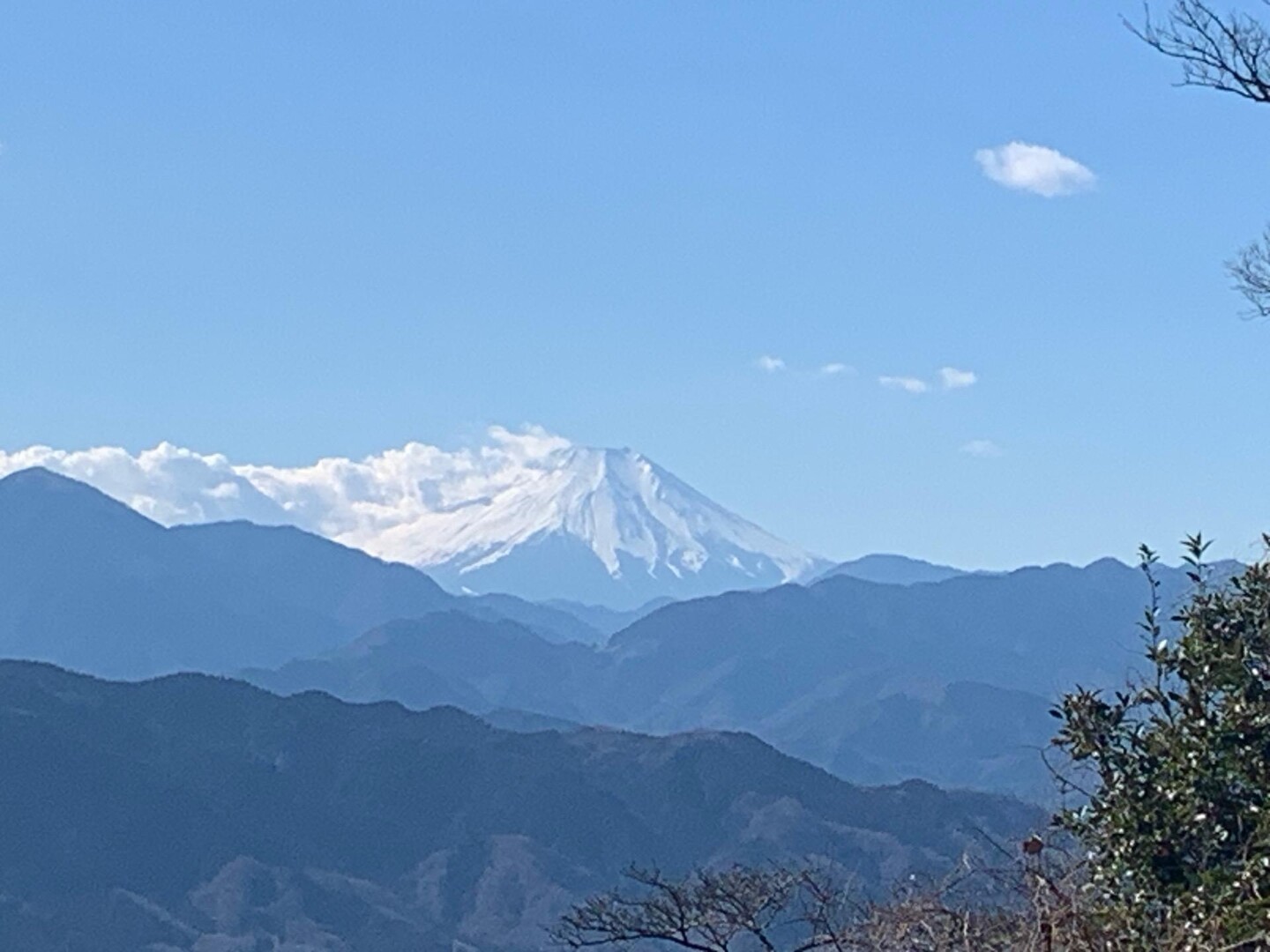 今日も高尾山 / chocoponさんの高尾山・陣馬山・景信山の活動データ | YAMAP / ヤマップ