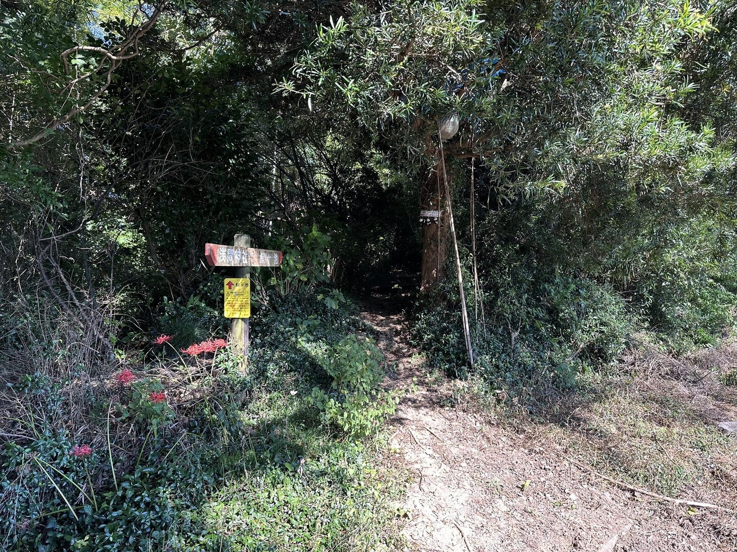 keijuさんの投稿したフィールドメモ | YAMAP / ヤマップ