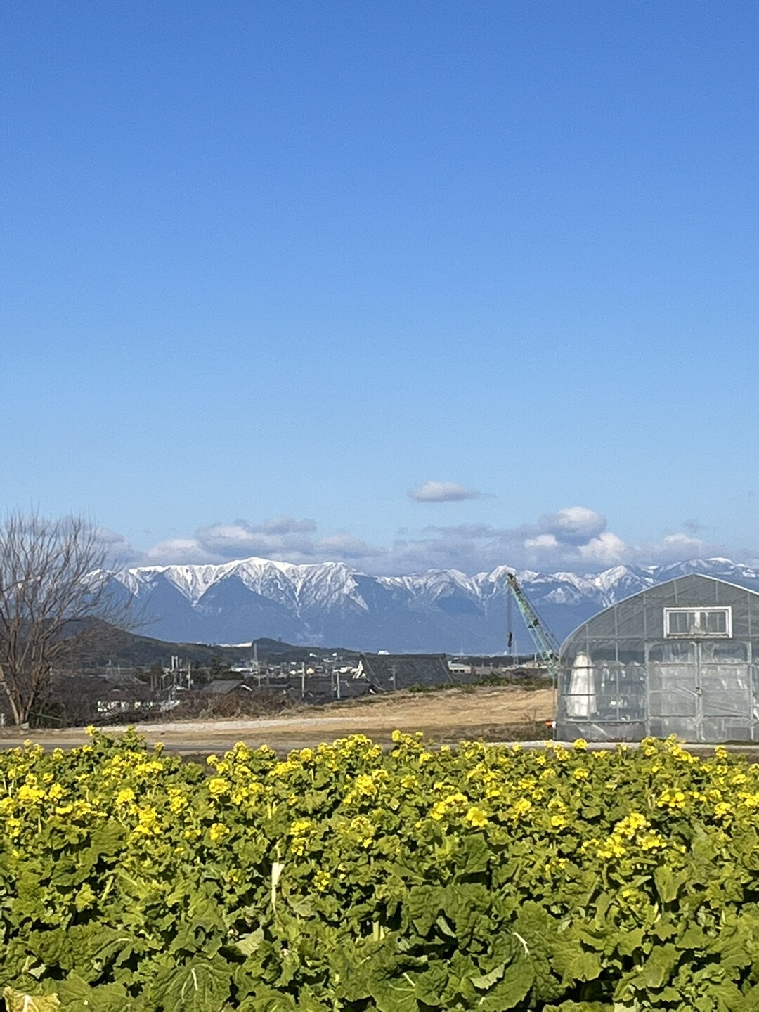 11日の連日初日 いちご狩り🍓をしに滋... / pumpkin manさんのモーメント | YAMAP / ヤマップ
