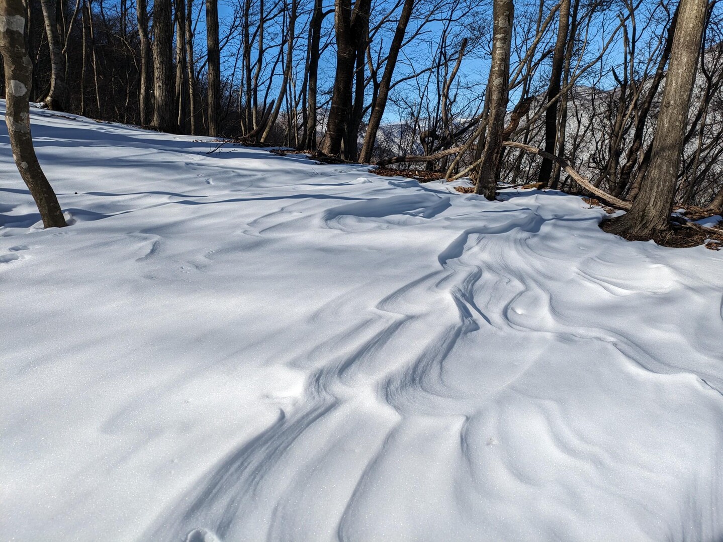 葛老山 / ユーさんの明神ヶ岳の活動日記 | YAMAP / ヤマップ