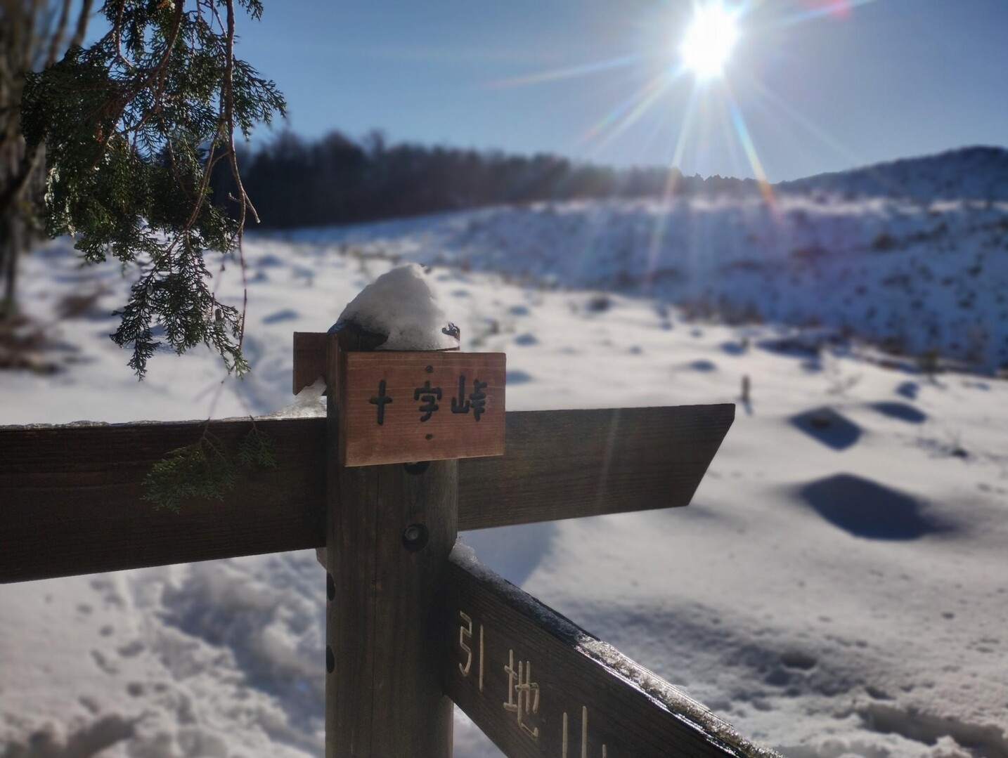 皿ヶ嶺 / 42insさんの皿ヶ嶺・梅ヶ谷山・うなめごの活動データ | YAMAP / ヤマップ