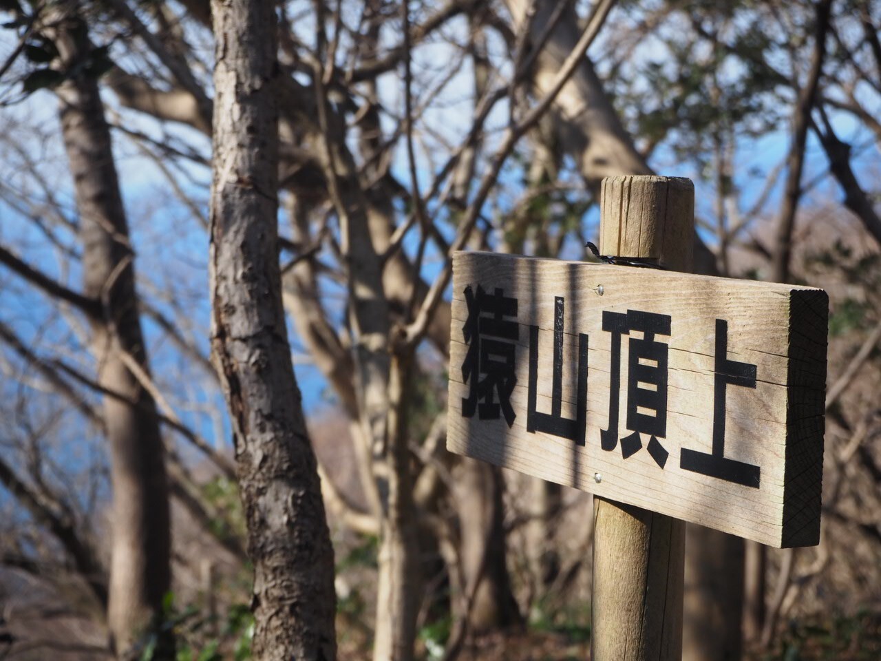 猿山 / AKIさんの猿山の活動データ | YAMAP / ヤマップ