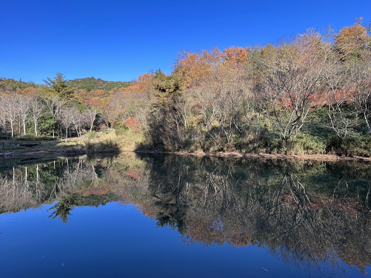 隙間時間に人に喜びを⛰尾張白山⛰ / 🌺SAE🌺さんの尾張富士・尾張本宮山・尾張白山の活動データ | YAMAP / ヤマップ