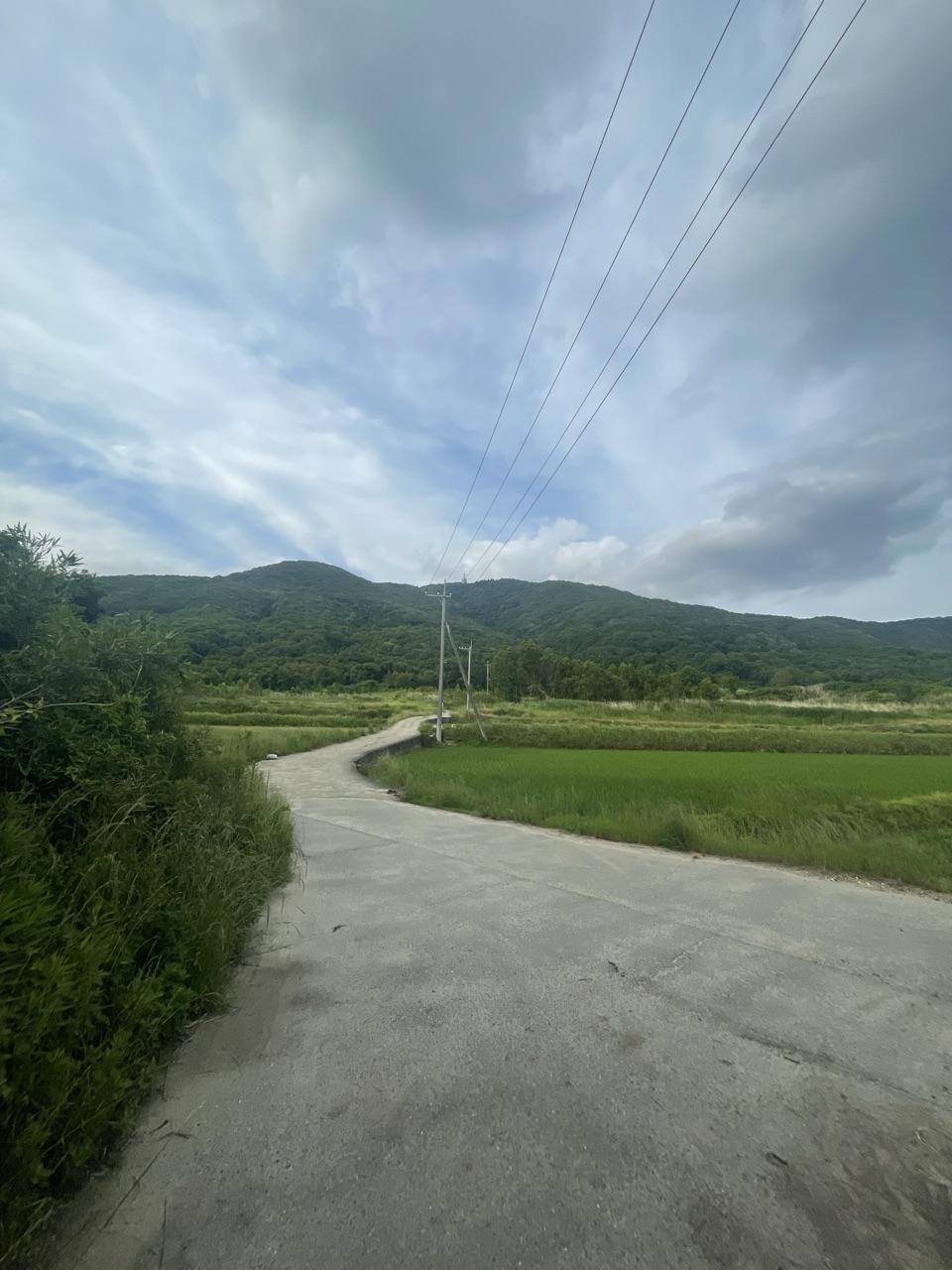 SHUNのページ | YAMAP / ヤマップ