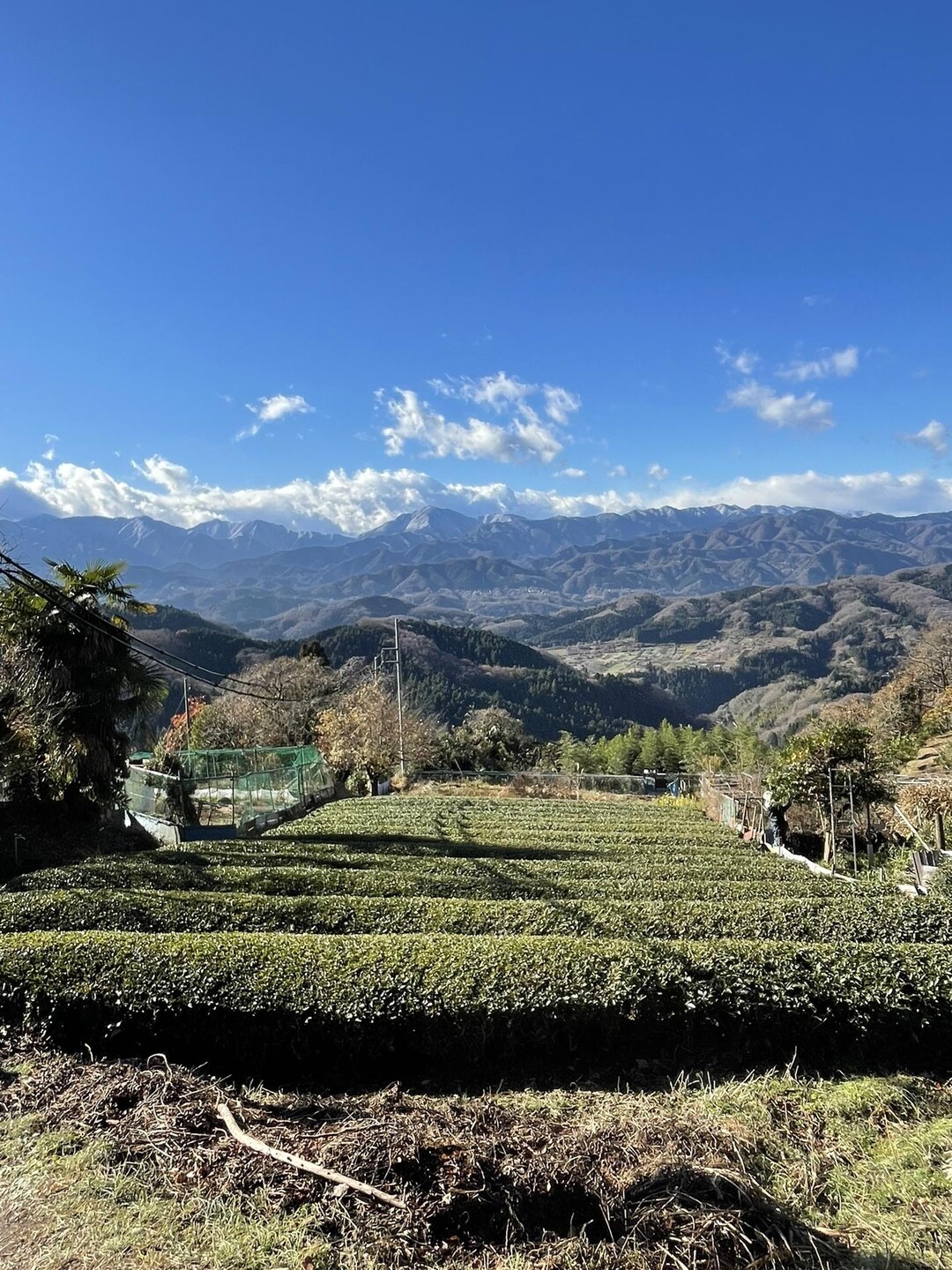 陣馬山・南郷山・富士小屋山・赤岩山・堂所山・景信山・城山（小仏城山）・高尾山・稲荷山 / beoni24さんの高尾山・陣馬山・景信山の活動データ | YAMAP / ヤマップ