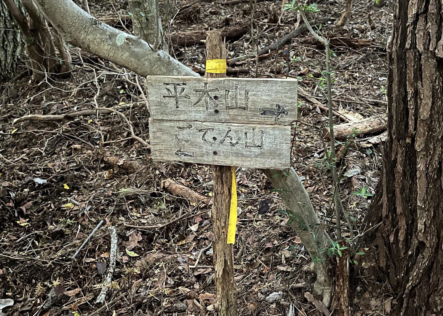 wtaxus わたくさすさんの投稿したフィールドメモ | YAMAP / ヤマップ