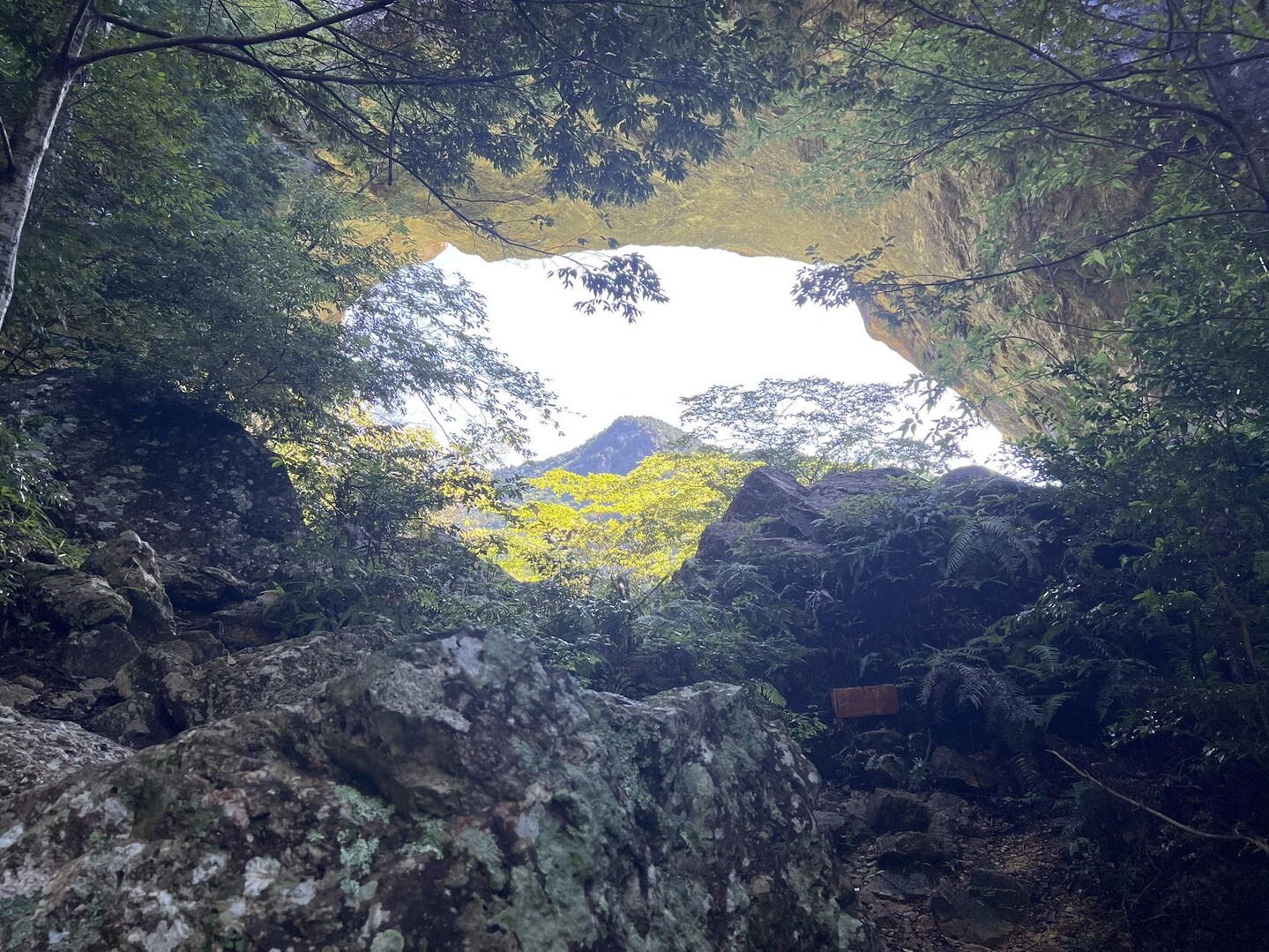明神山（三ツ瀬明神山） / togonovoさんの明神山（三ツ瀬明神山）の活動データ | YAMAP / ヤマップ