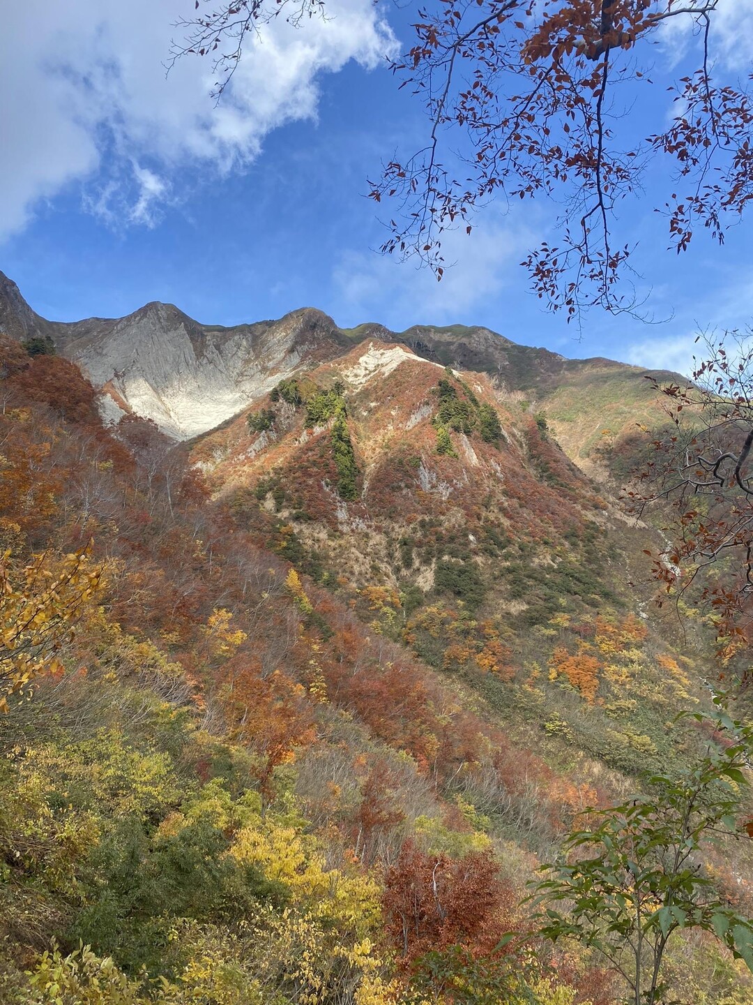 雨飾山 / 100%Orangeさんの雨飾山・大渚山・天狗原山・戸倉山の活動データ | YAMAP / ヤマップ