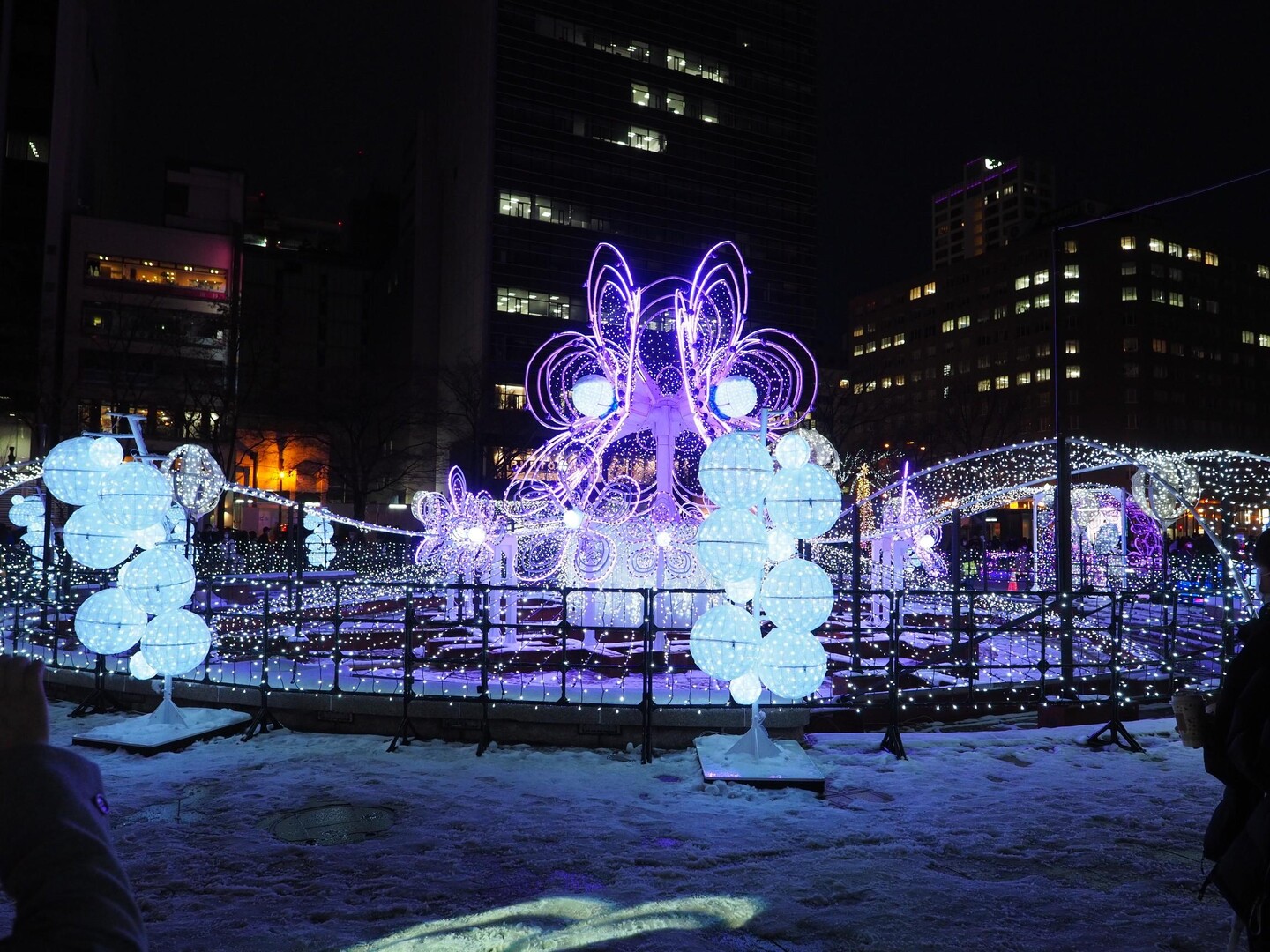 カメ📸活 大通り公園のイルミネーション... / doaraさんのモーメント | YAMAP / ヤマップ