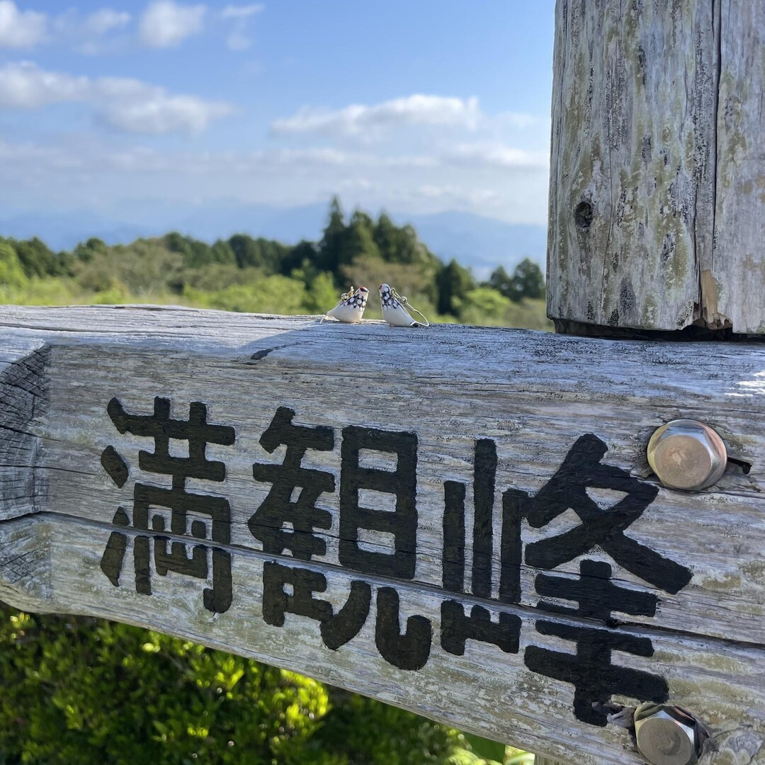 2023.05.04 満観峰で朝ごはん🥪 / tmkさんの焼津アルプス（高草山・満観峰・花沢山）・徳願寺山の活動データ | YAMAP / ヤマップ