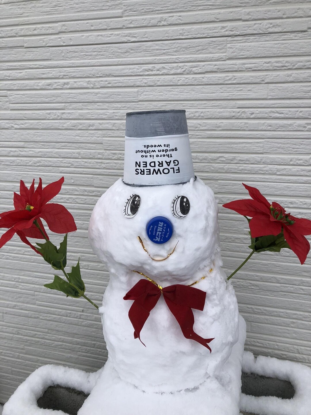 また寒波到来〜 ️⛄️ ️⛄️ ️ Xm... / 💖🐰Roco🐰💖さんのモーメント | YAMAP / ヤマップ