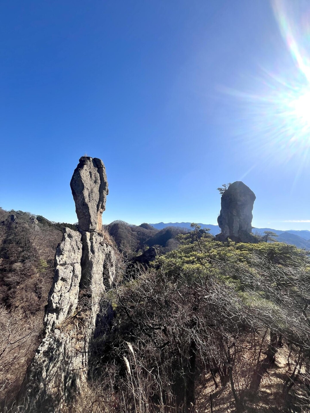 御堂山 / yukiさんの大桁山・鍬柄岳・御堂山の活動日記 | YAMAP / ヤマップ