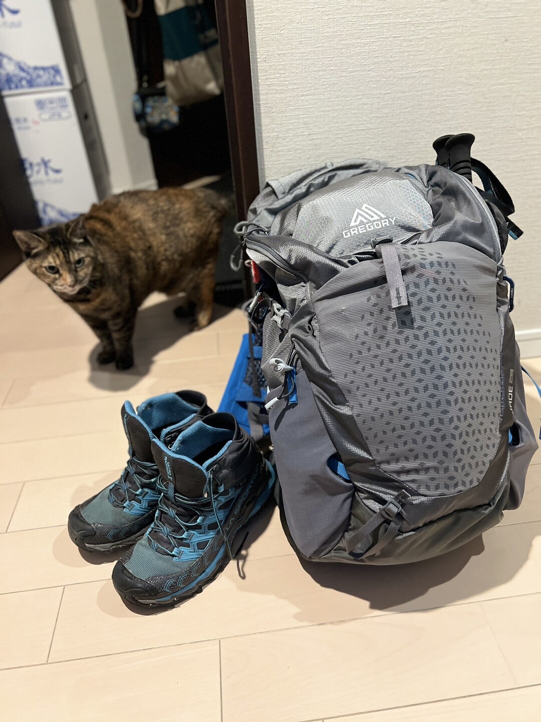 明日は快晴☀️ 嫁さんはお山へ ٩( ᐛ... / だいすけさんのモーメント | YAMAP / ヤマップ