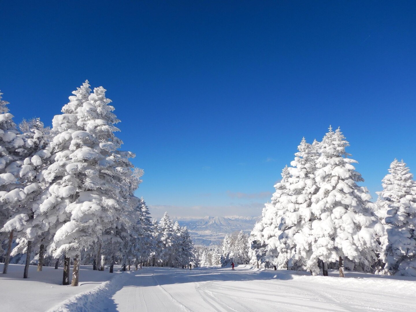 竜王スキーパーク / ケイタリアンレッドさんの焼額山の活動データ | YAMAP / ヤマップ