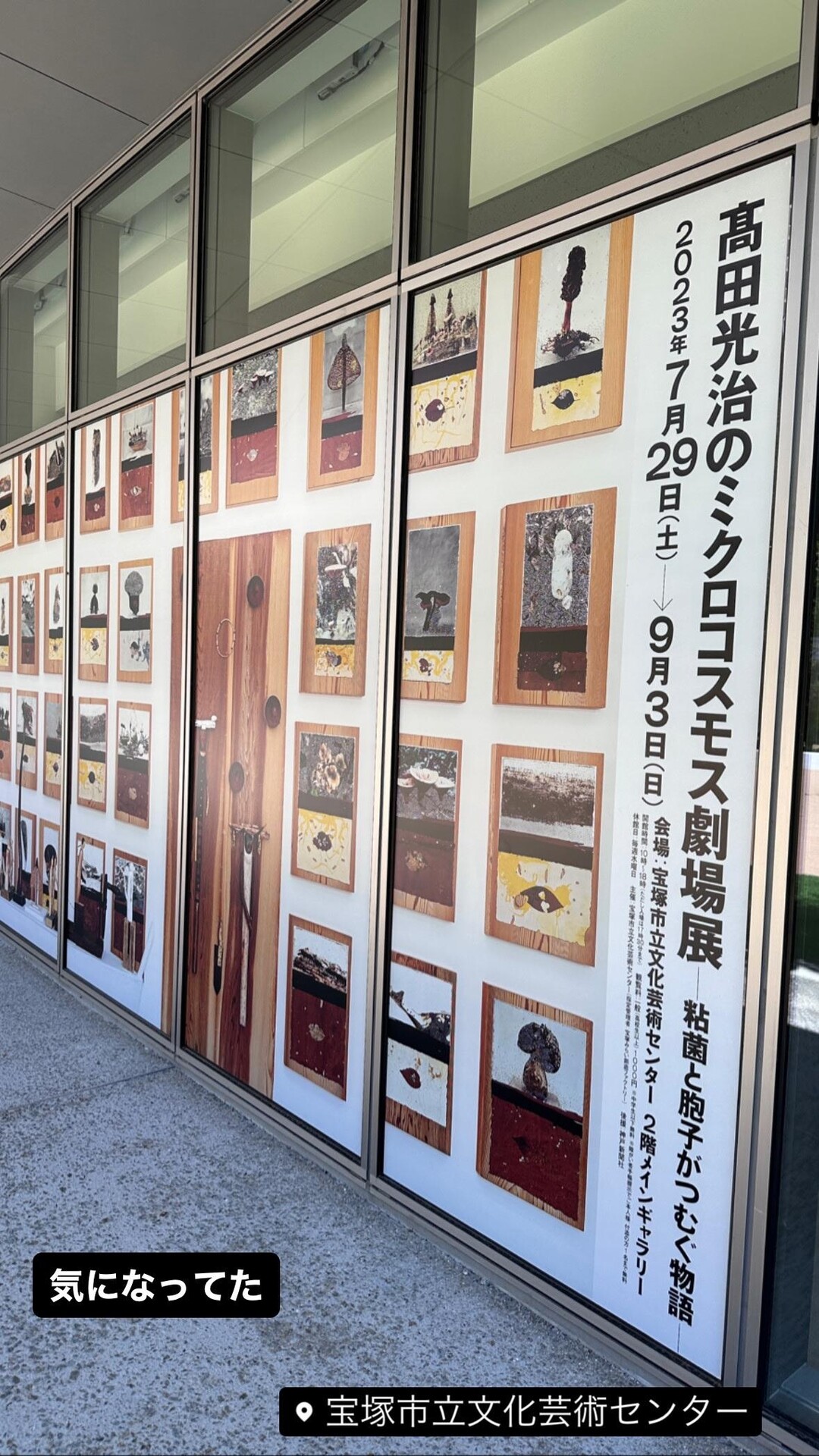 高田光治のミクロコスモス劇場展-粘菌と胞... / ERlii*さんのモーメント | YAMAP / ヤマップ