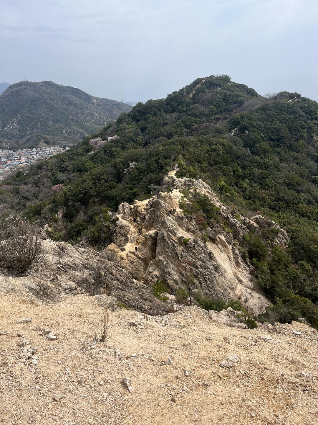 鉄拐山・高倉山・栂尾山・横尾山・東山・菊水山 / Noriyamaさんの六甲山・長峰山・摩耶山の活動データ | YAMAP / ヤマップ