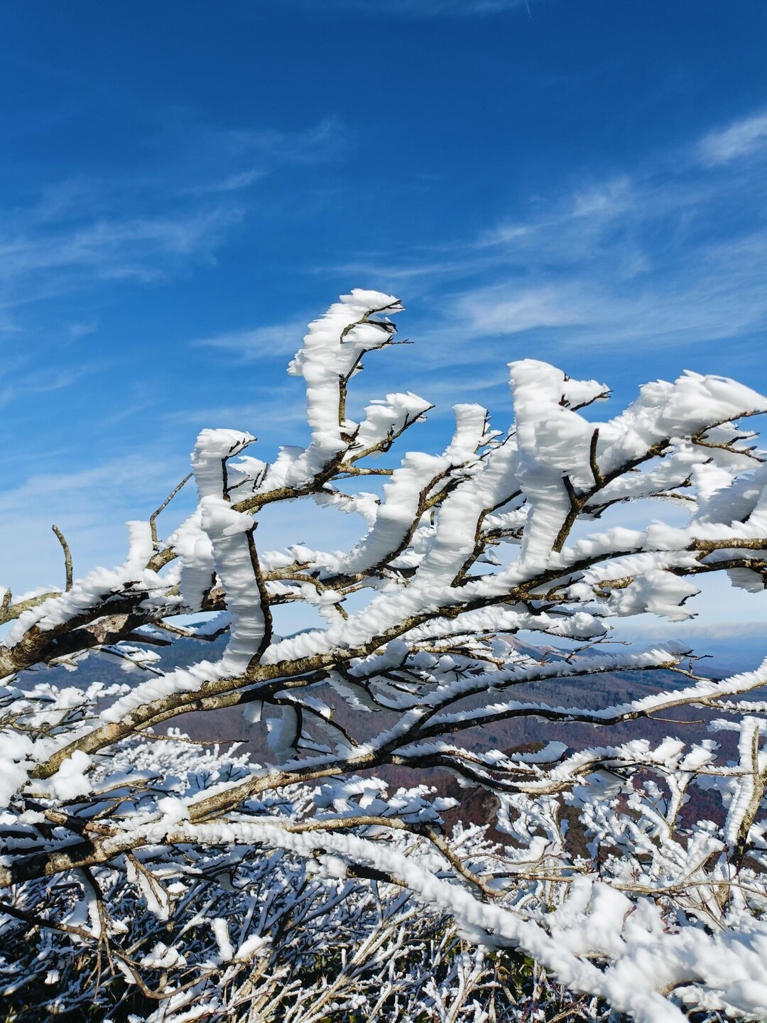 鬼面山・箕輪山・鉄山・矢筈森・安達太良山 / ukeyさんの安達太良山・箕輪山・鬼面山の活動データ | YAMAP / ヤマップ