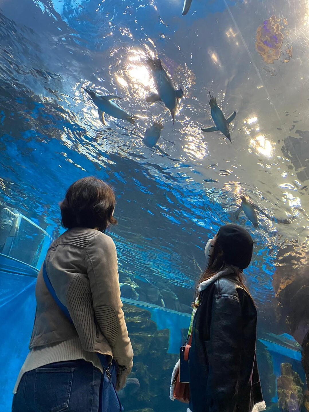 石槌山でご縁ありの3人 ️ ぐるりと山口... / nanako☺︎さんのモーメント | YAMAP / ヤマップ