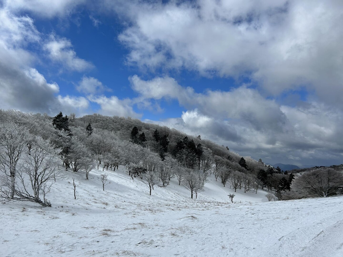 三峰山霧氷まつりへ！ / 2流SE カズさんの三峰山・学能堂山・栗ノ木岳の活動データ | YAMAP / ヤマップ