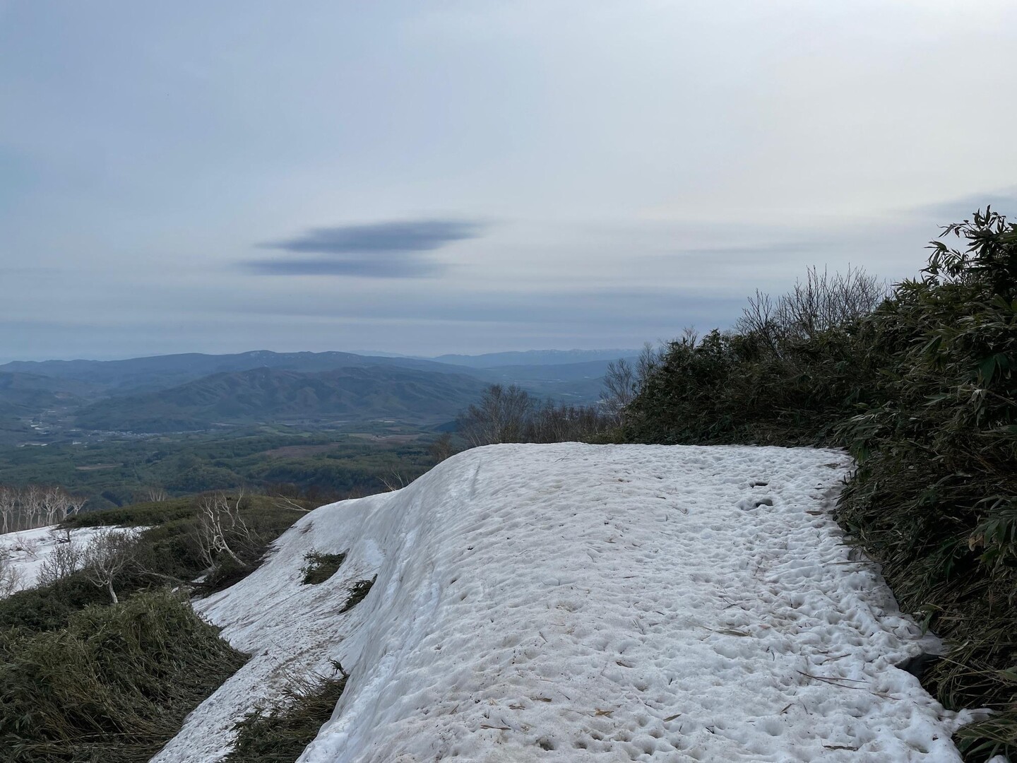 モイワ山(ニセコ) / 島ちゃん(島.RC)🌈さんのニセコアンヌプリ・イワオヌプリ・チセヌプリの活動データ | YAMAP / ヤマップ