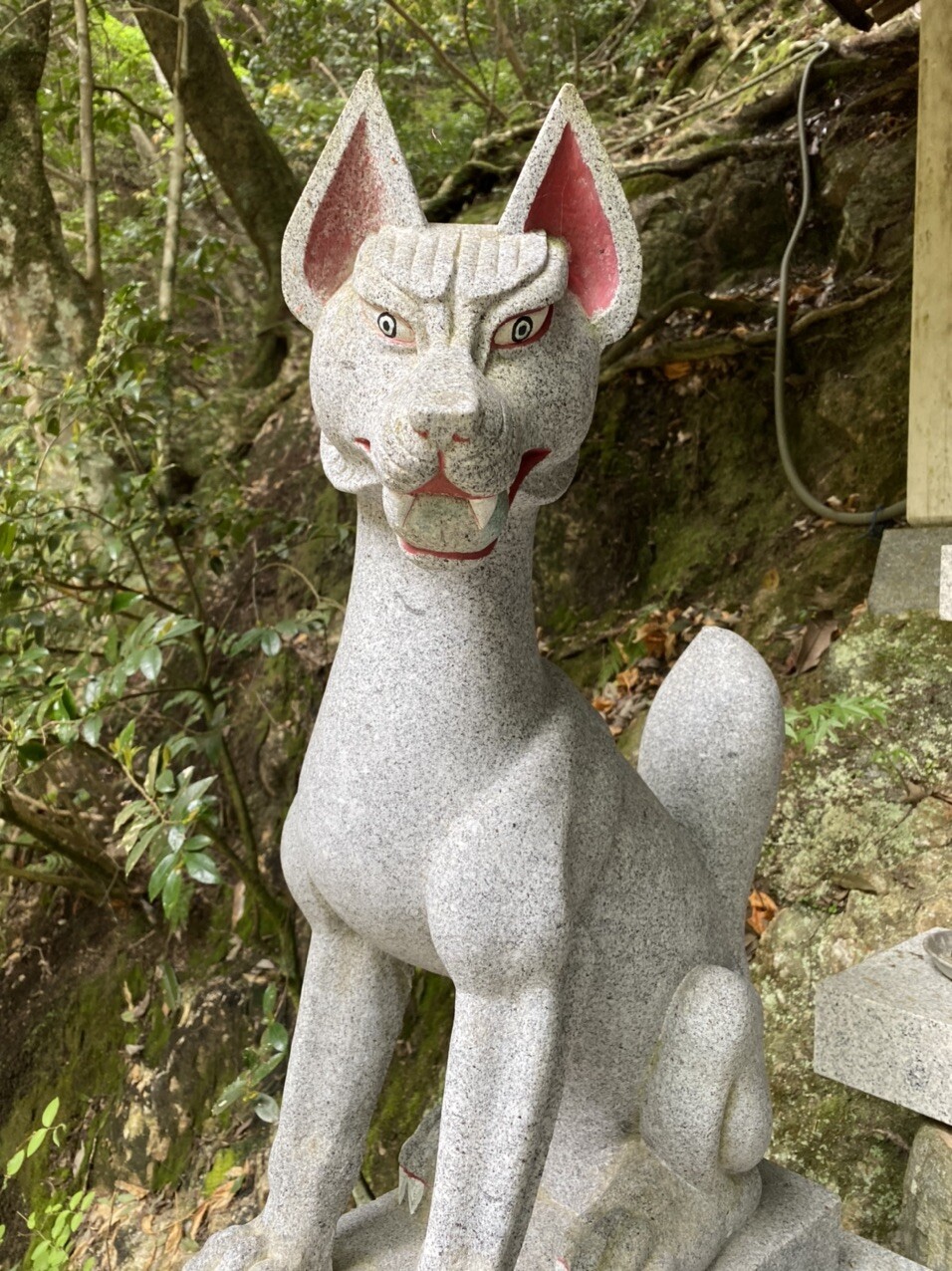 mtakoのページ | YAMAP / ヤマップ