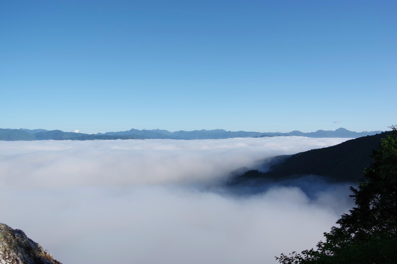 工石山、道迷いの検証 / でこぼこMamoさんの工石山の活動データ | YAMAP / ヤマップ