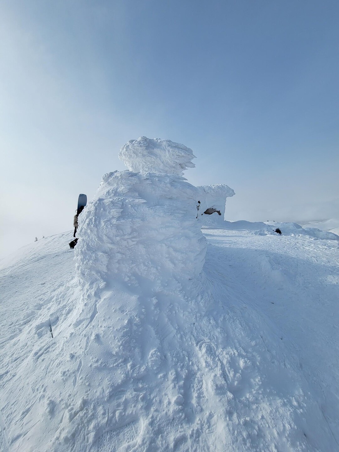 ニセコアンヌプリ（南峰）・ニセコアンヌプリ / naka-zさんのニセコアンヌプリ・イワオヌプリ・チセヌプリの活動データ | YAMAP / ヤマップ