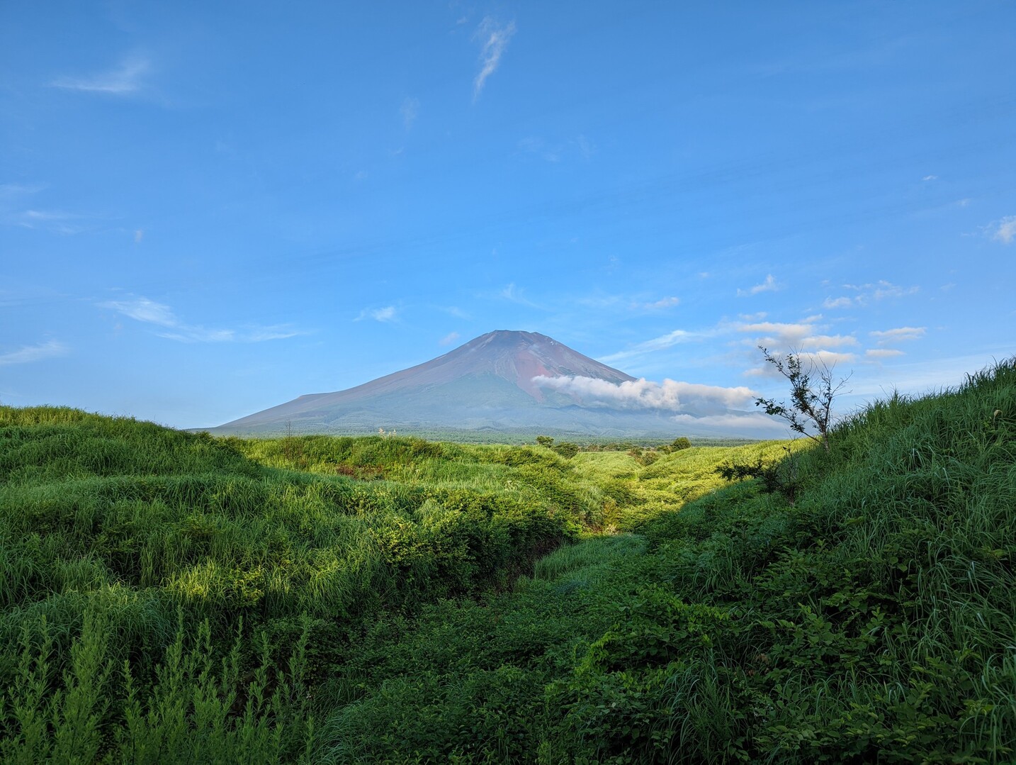 山中浅間神社から富士山剣ヶ峰へ / endohさんの富士山の活動データ | YAMAP / ヤマップ