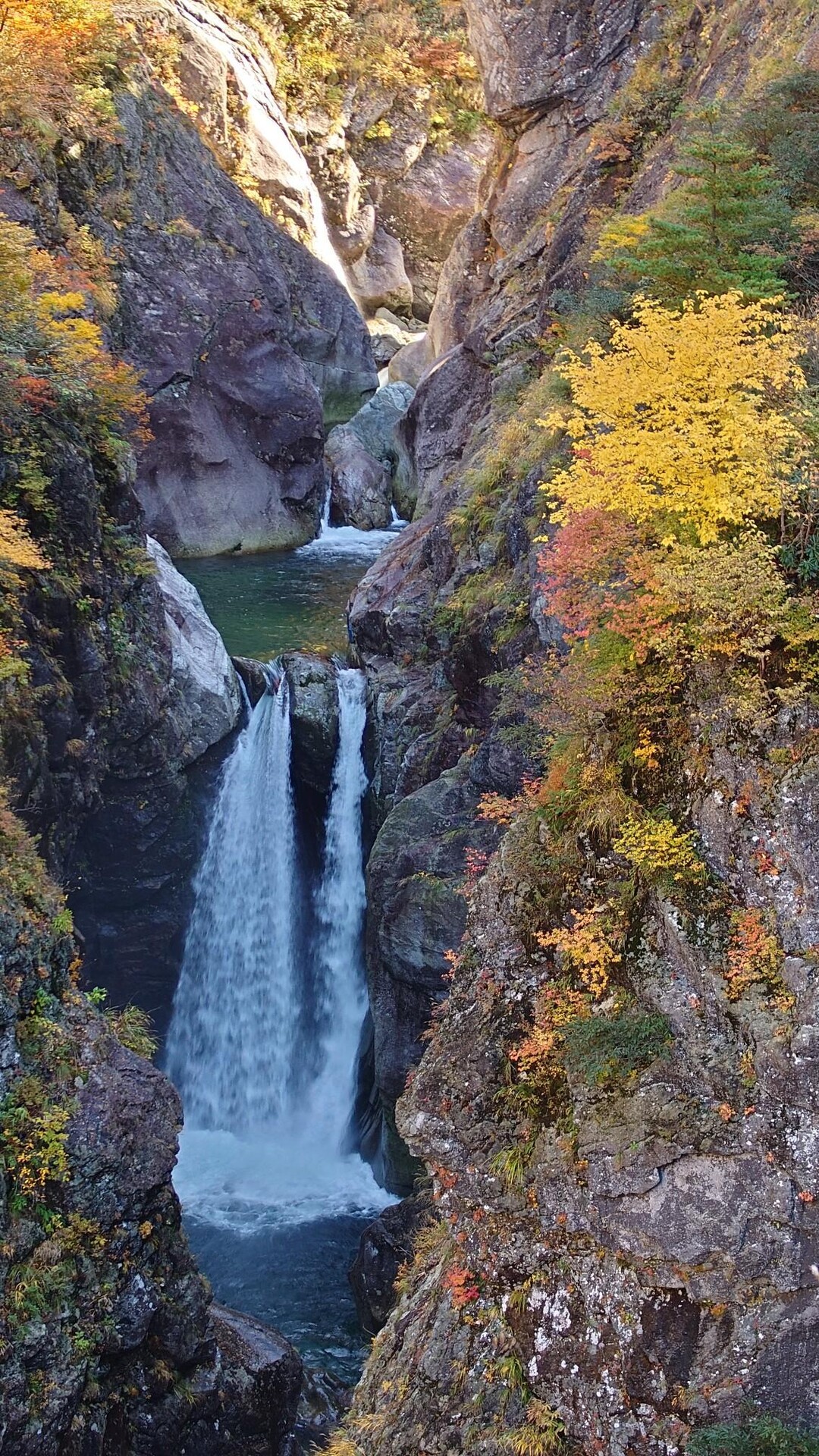 裏巻機渓谷 紅葉トレッキング🍁 / N.O.R.さんの巻機山・割引岳・金城山の活動データ | YAMAP / ヤマップ