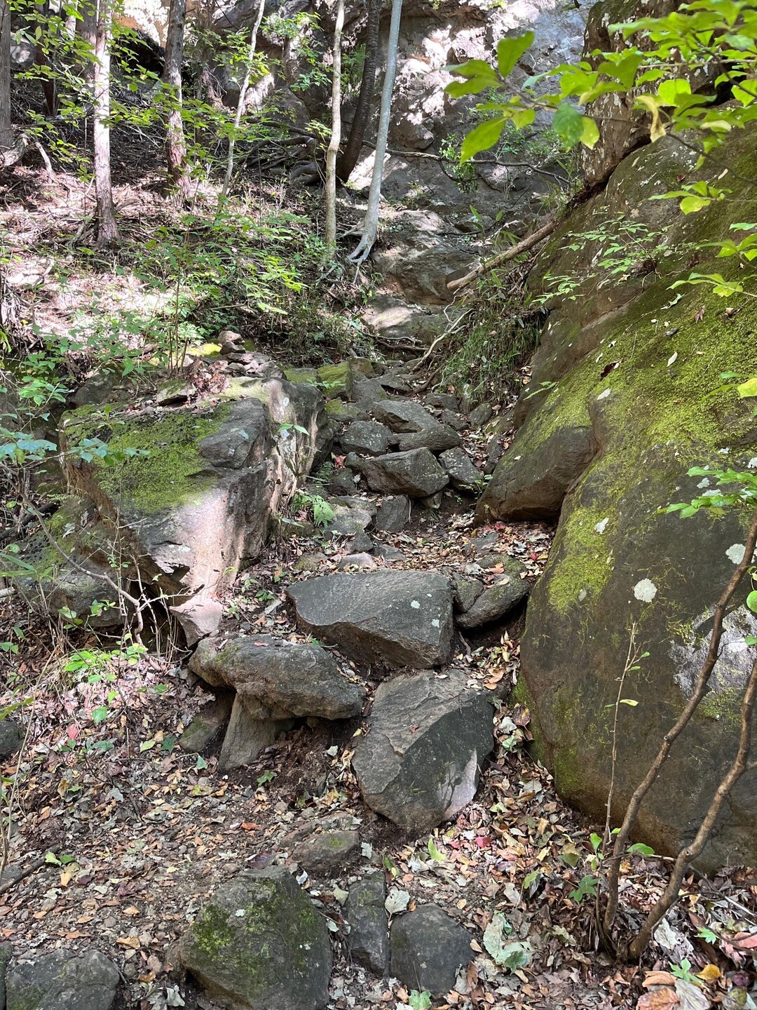 popeesanさんの投稿したフィールドメモ | YAMAP / ヤマップ