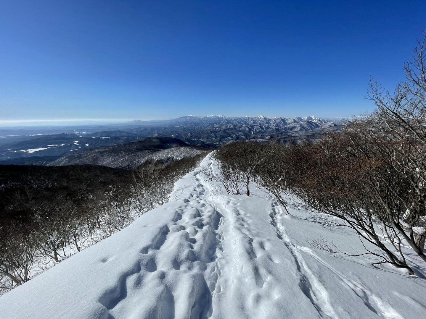 泉ヶ岳〜冬季限定袖泉尾根 / lily crankyさんの船形山（御所山）・泉ヶ岳・蛇ヶ岳の活動データ | YAMAP / ヤマップ