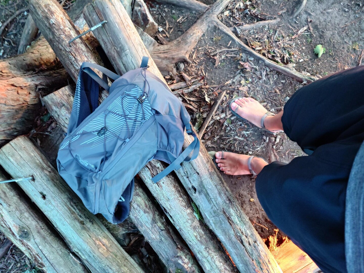 街は8℃、山頂は13℃ 女山までWt+5kg / ta2さんの鳴神山・吾妻山の活動データ | YAMAP / ヤマップ