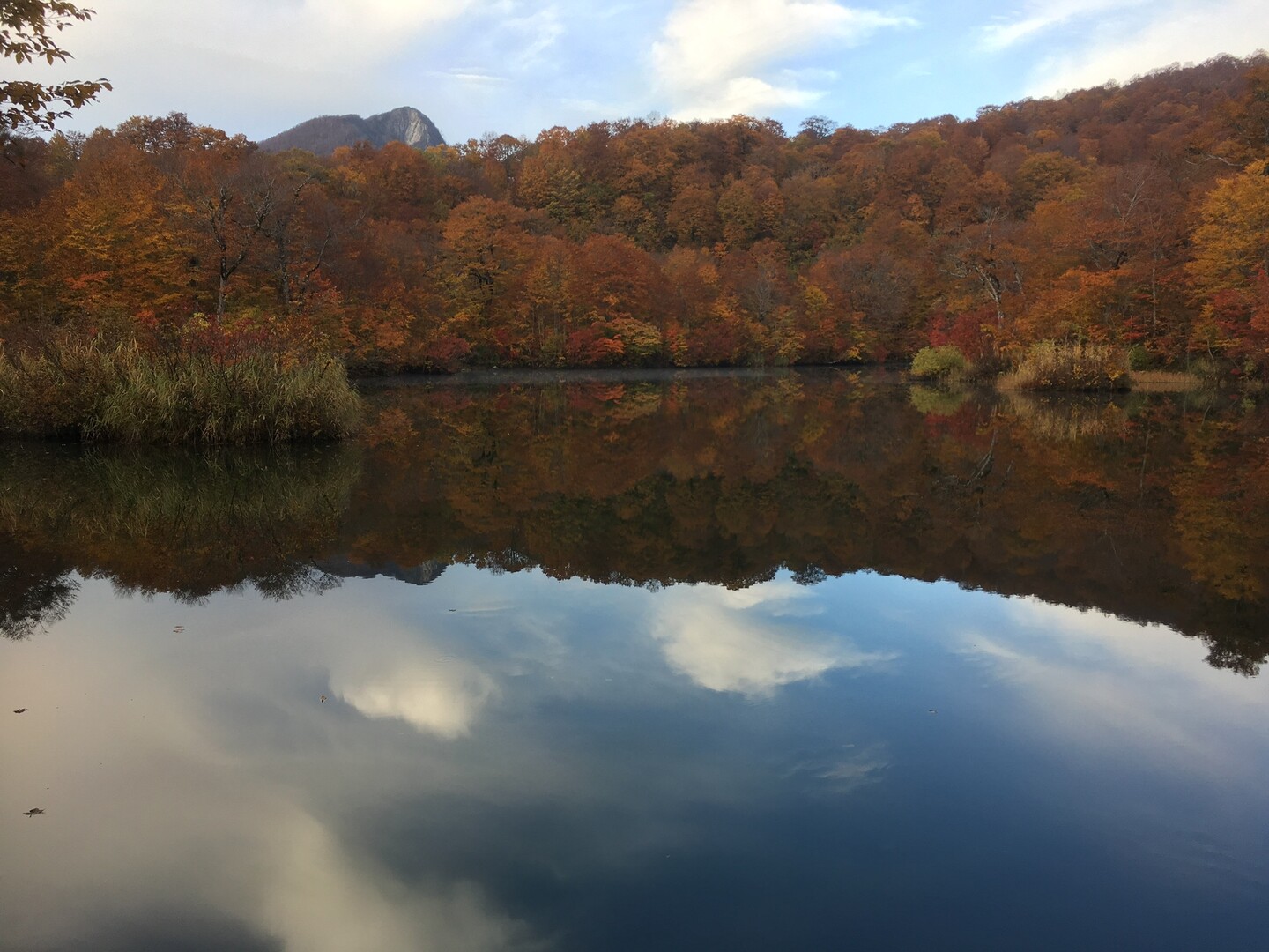 2018年10月末 長野県と新潟県との県... / YOTAさんのモーメント | YAMAP / ヤマップ