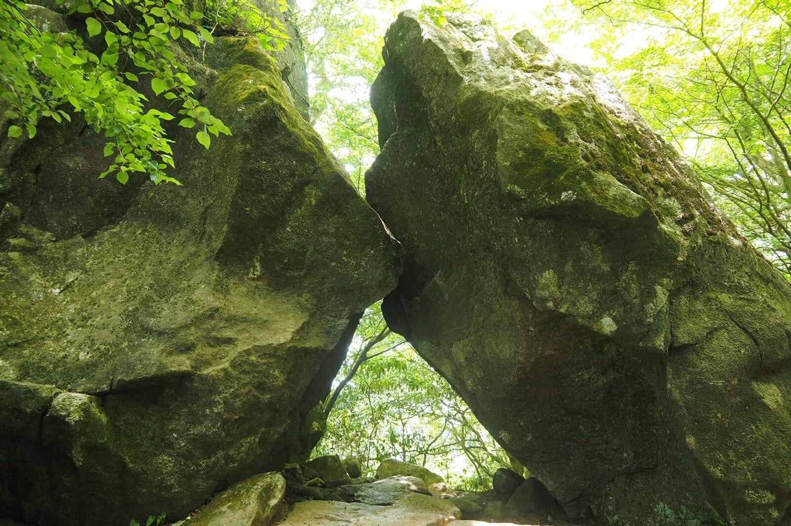 筑波山（女体山・男体山） / momoさんの筑波山の活動データ | YAMAP / ヤマップ